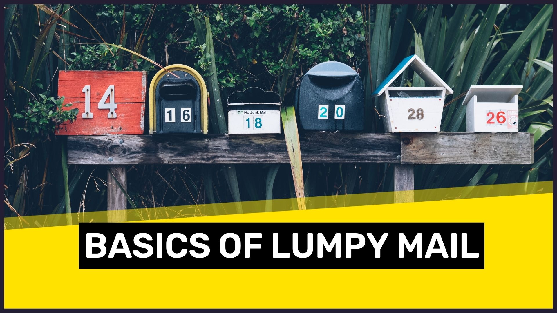 Effective Online & Offline Marketing - The WAP Portal